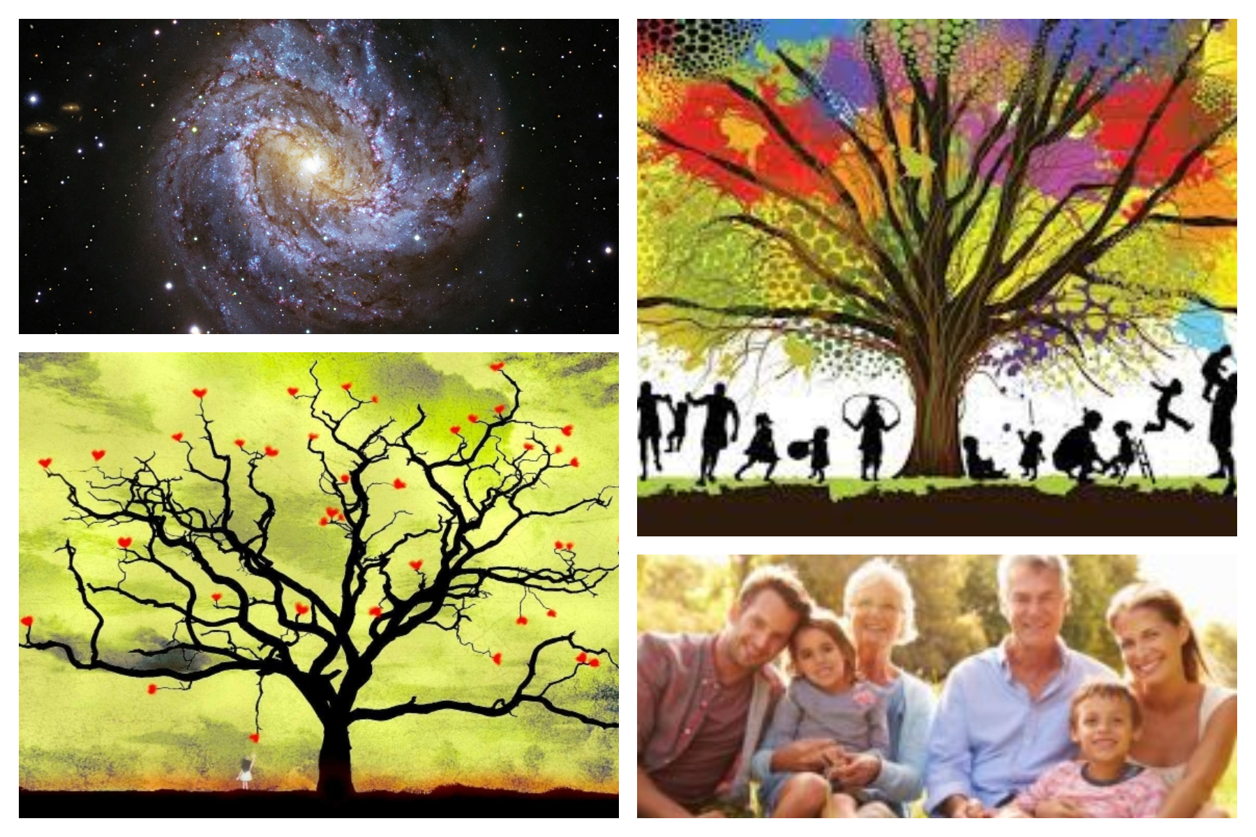 Constellations familiales et systémiques - Cécile Robert, coach ...